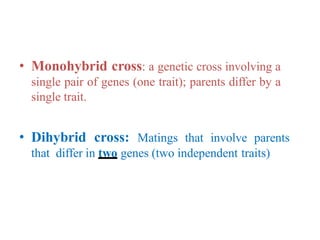 Unit v patterns ofinheritance mendelian inheritance | PPT