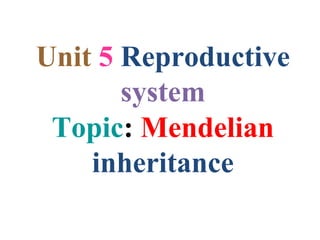 Unit v patterns ofinheritance mendelian inheritance | PPT