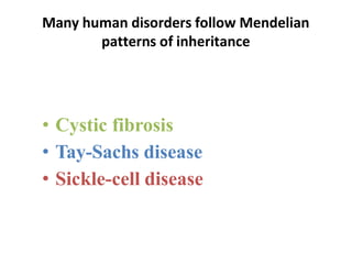 Unit v patterns ofinheritance mendelian inheritance | PPT