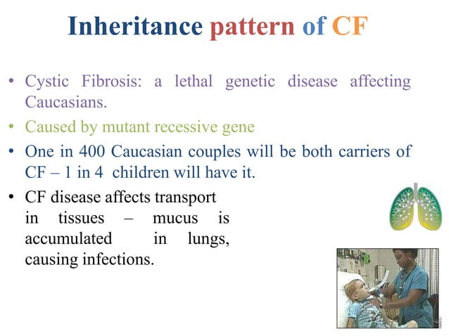 Unit v patterns ofinheritance mendelian inheritance | PPT
