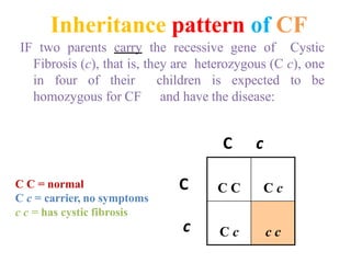 Unit v patterns ofinheritance mendelian inheritance | PPT