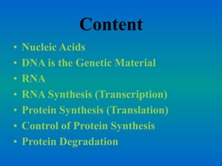 Unit v protein synthesis | PPTX