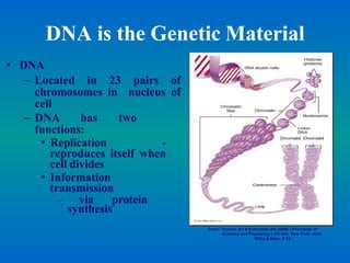 Unit v protein synthesis | PPTX