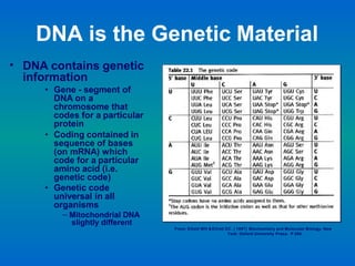 Unit v protein synthesis | PPT