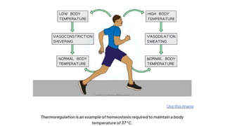 Unit 01.pptx adsdv tioty8o gyilf ukdy dyrk fukgyj | PPTX