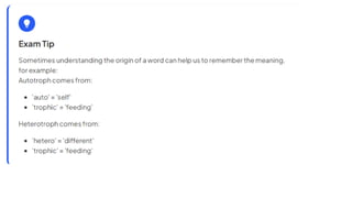 Unit 01.pptx adsdv tioty8o gyilf ukdy dyrk fukgyj | PPTX