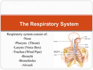 Unit__01_Final_Respiratory_System_Presenation.pptx