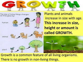 Unit 01 part 02 characteristics of livinng things | PPT