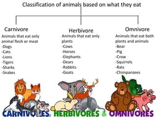 Unit 01 part 03 diversity | PPTX