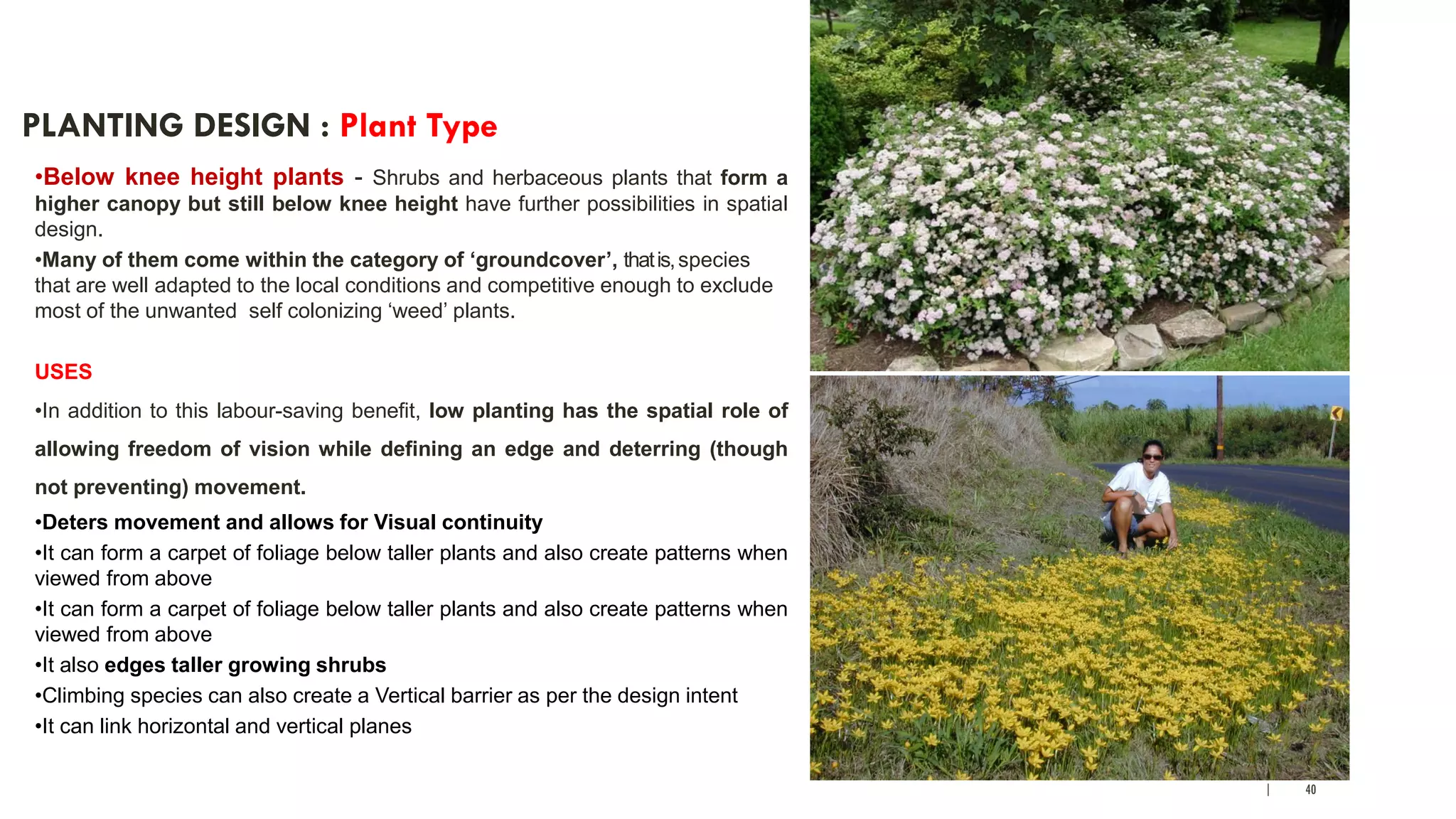 Unit 02 Elements of Landscape Architecture and Landscape Design | PDF ...