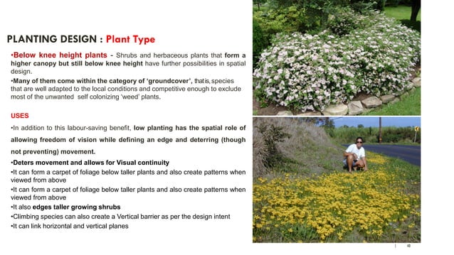 Unit 02 Elements of Landscape Architecture and Landscape Design | PDF ...