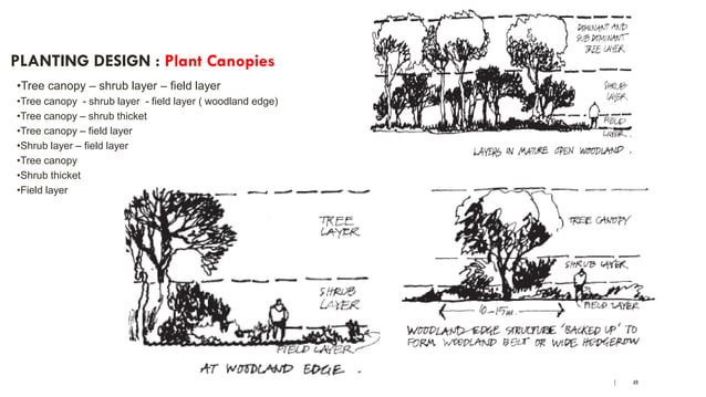 Unit 02 Elements of Landscape Architecture and Landscape Design | PPT