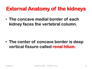 Urinary System of human body. This chapter covers overall urinary ...