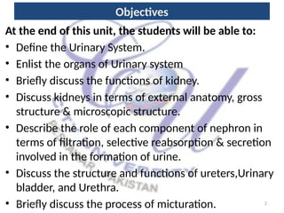 Unit number one Urinary system Anatomy and physiology | PPTX