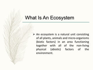 UNIT 03 ECOSYSTEM-PPT.pptx