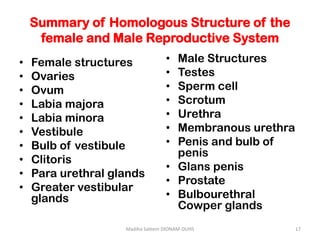 Unit#03 Female Reproductive System.pdfjfgg | PPT