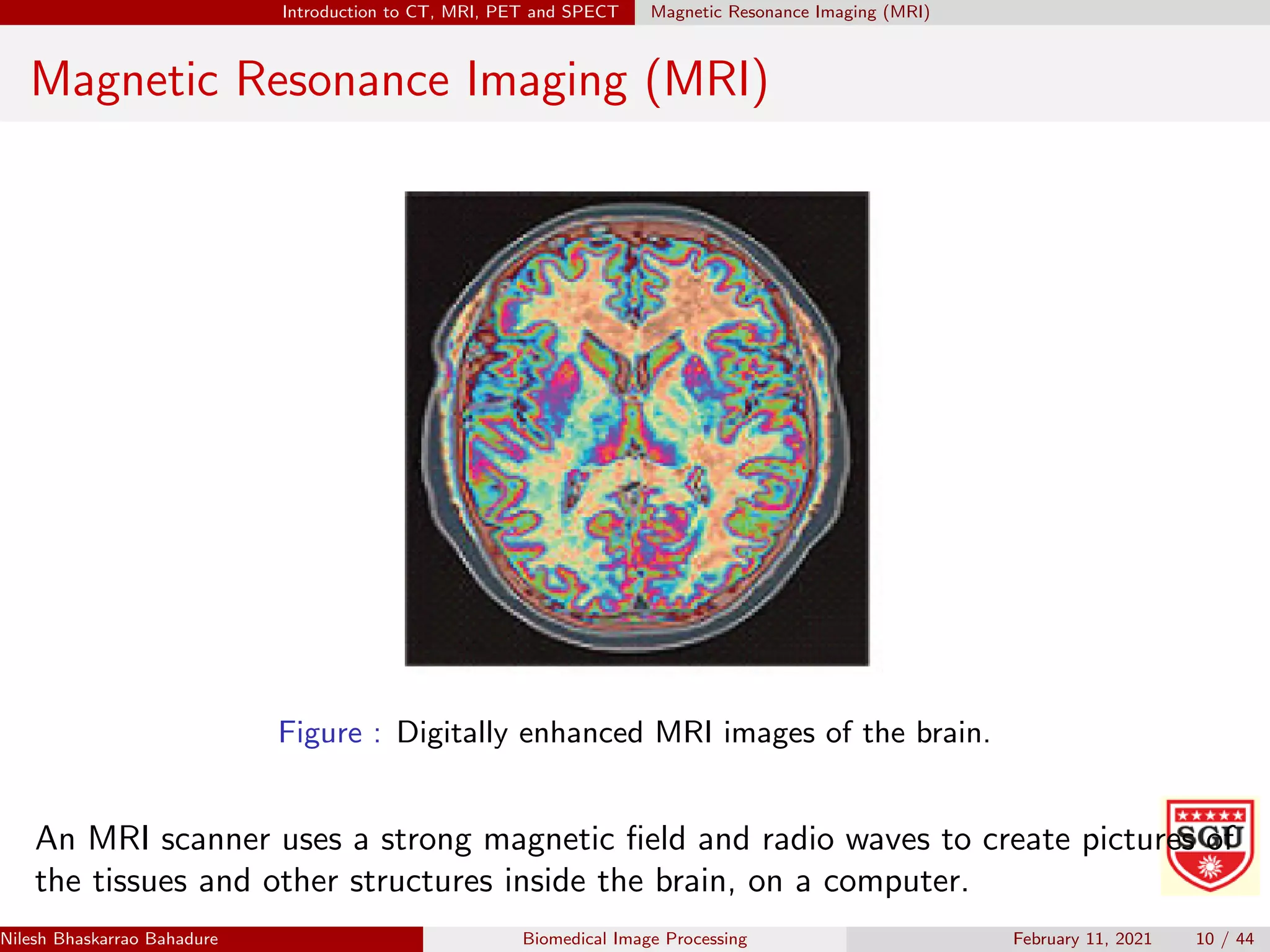 Introduction to Medical Image Processing | PDF