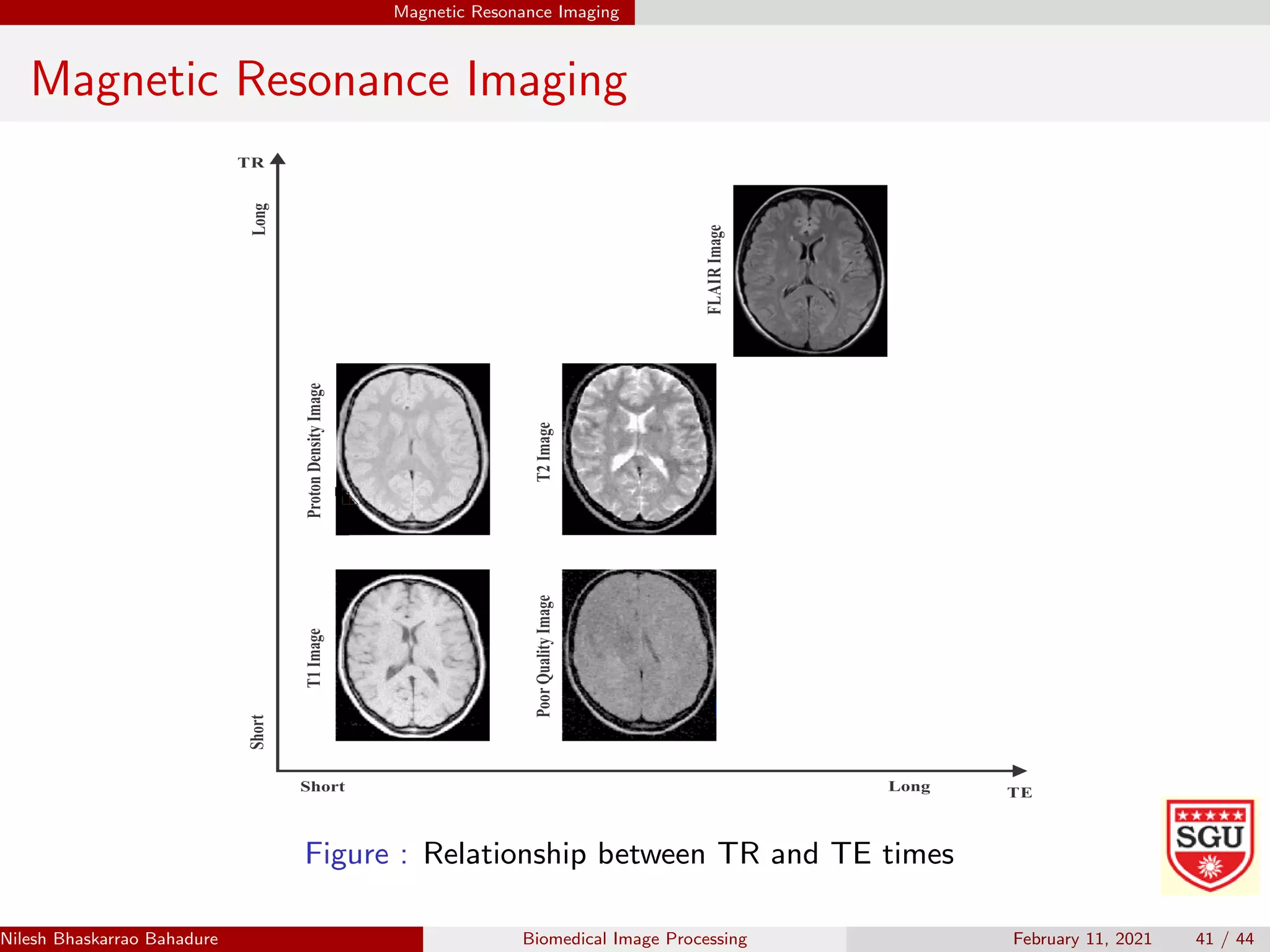 Introduction to Medical Image Processing | PDF