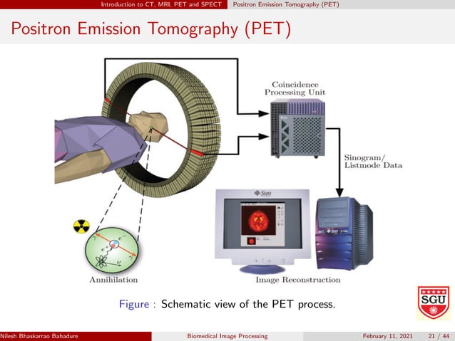 Introduction to Medical Image Processing | PDF | Medical Tests ...