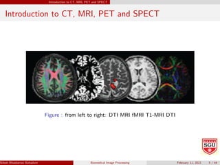 Introduction to Medical Image Processing | PDF