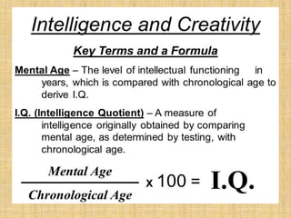 Intelligence Quotient Formula