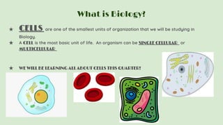 High School Biology: Introduction to Biology | PDF