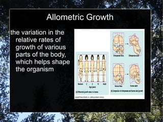 Unit 1 AP Bio Vocab | PPT
