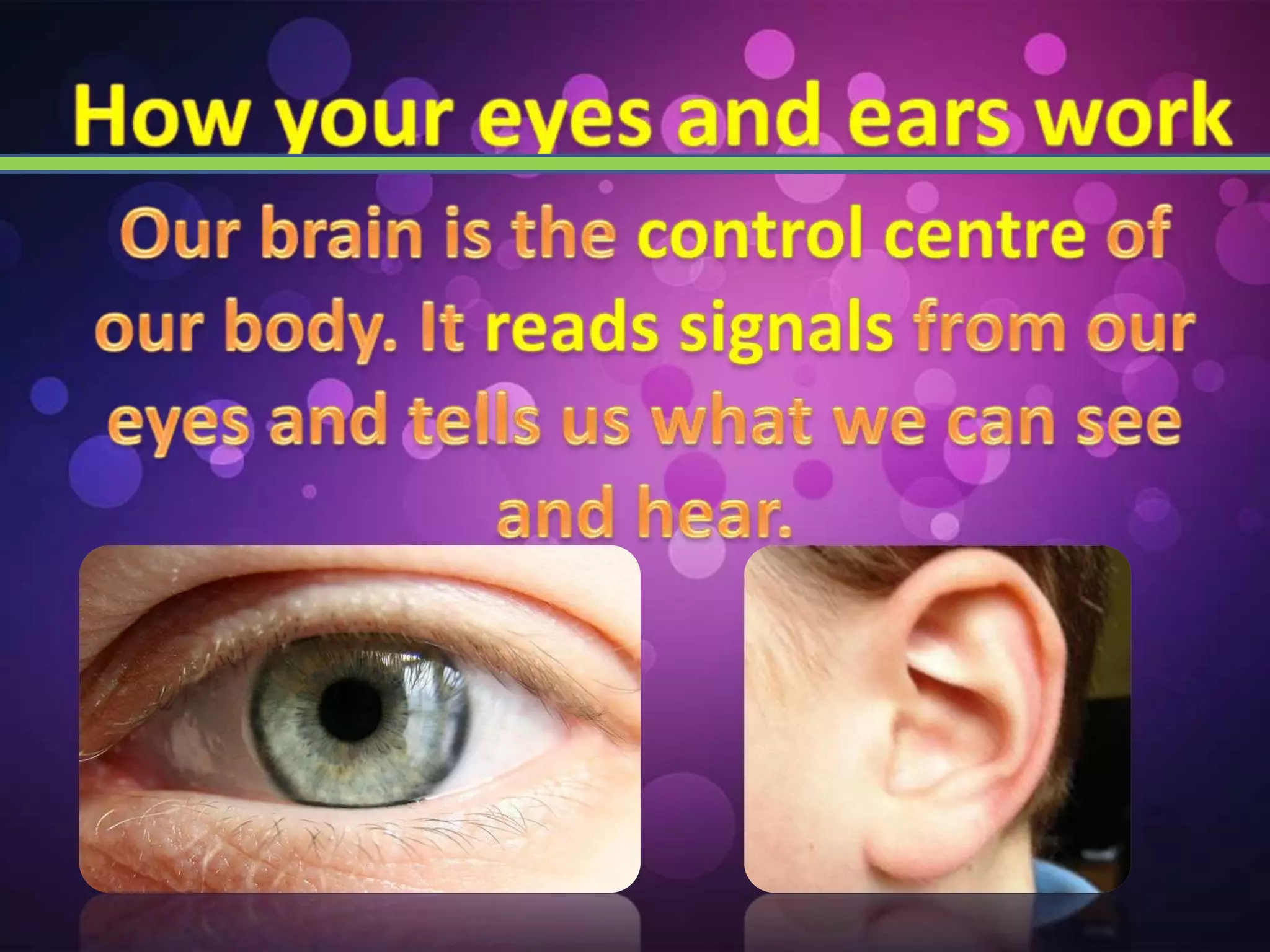 UNIT 1. NATURAL SCIENCE: THE HUMAN BODY | PPTX