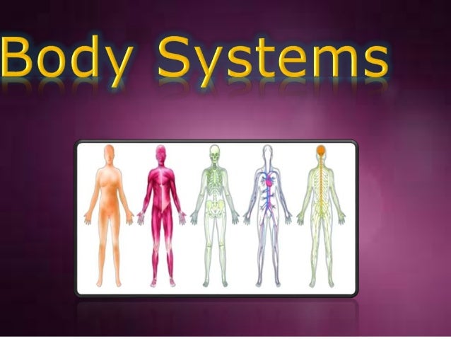 UNIT 1. NATURAL SCIENCE: THE HUMAN BODY