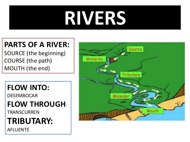 Mouth Of A River Definition
