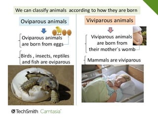 Unit 1. living things | PPT