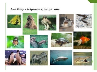 Unit 1. living things | PPT