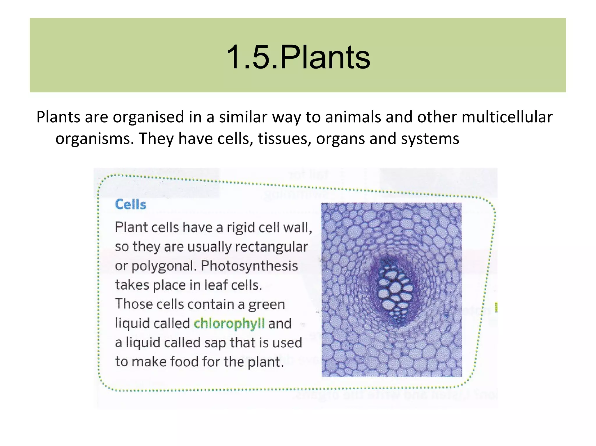 Unit 1. living things | PPT