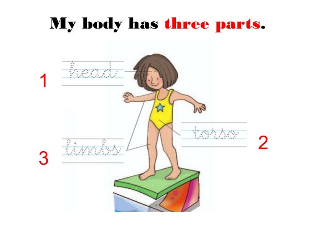 SCIENCE FOR SMALL SCIENTISTS (SECOND GRADE)