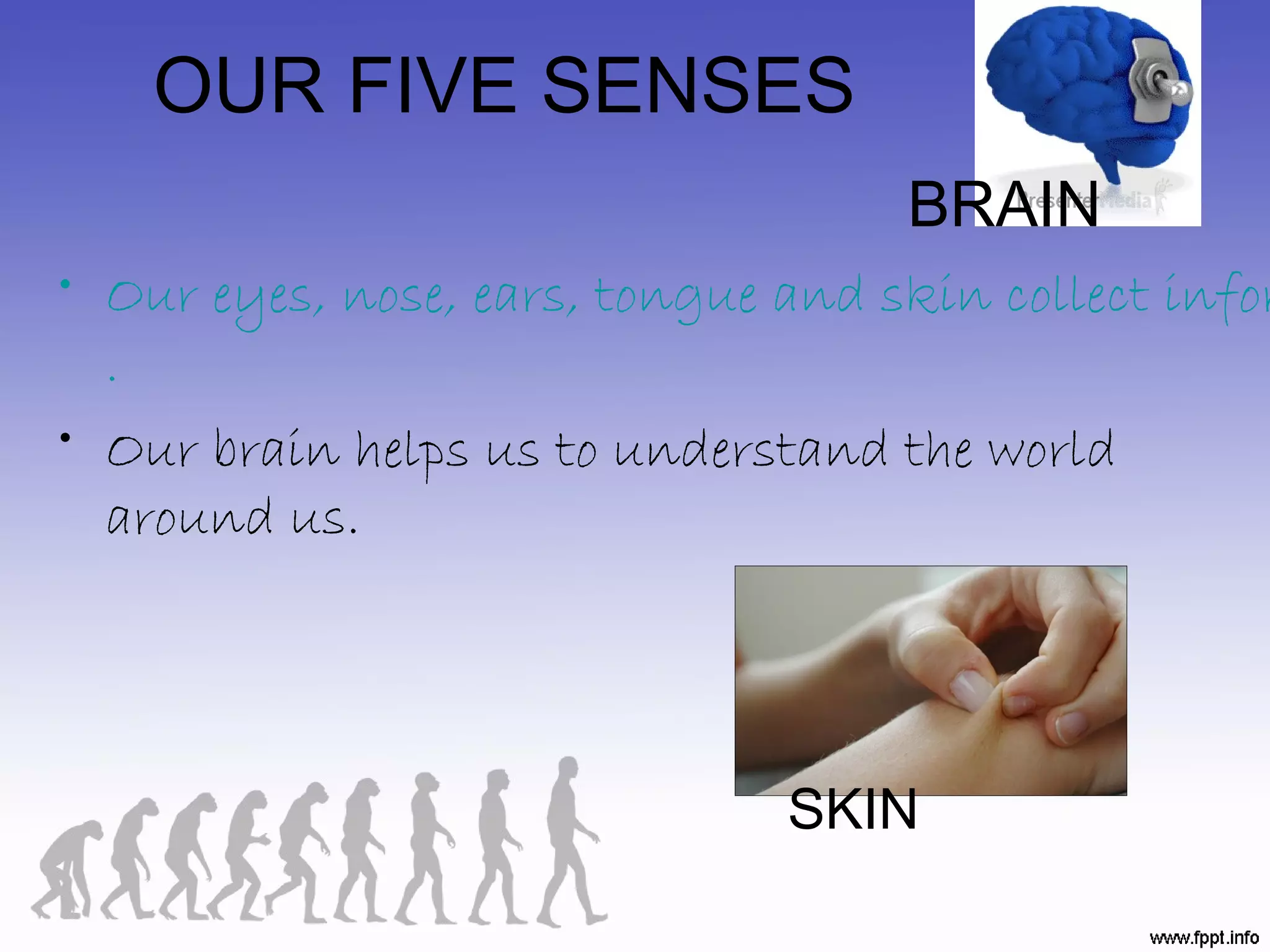 Unit1 HOW MY BODY WORKS | PPT