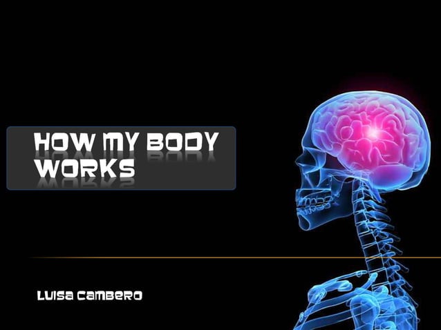 Unit1 HOW MY BODY WORKS | PPT