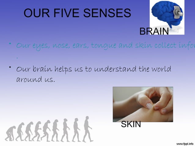 Unit1 HOW MY BODY WORKS | PPT