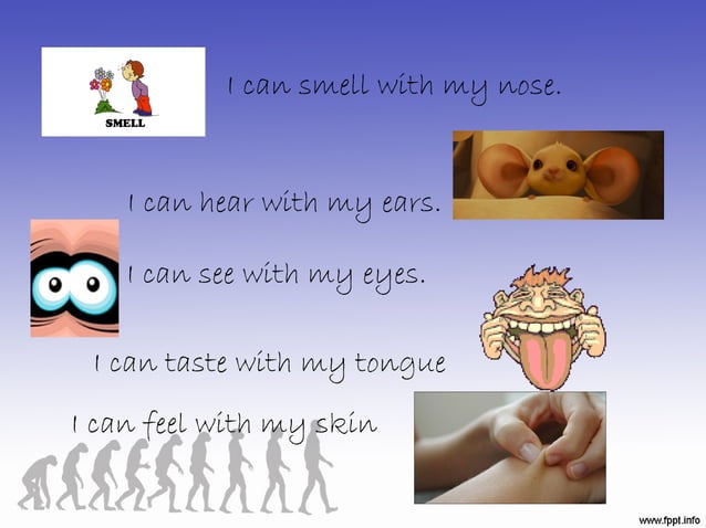 Unit1 HOW MY BODY WORKS | PPT