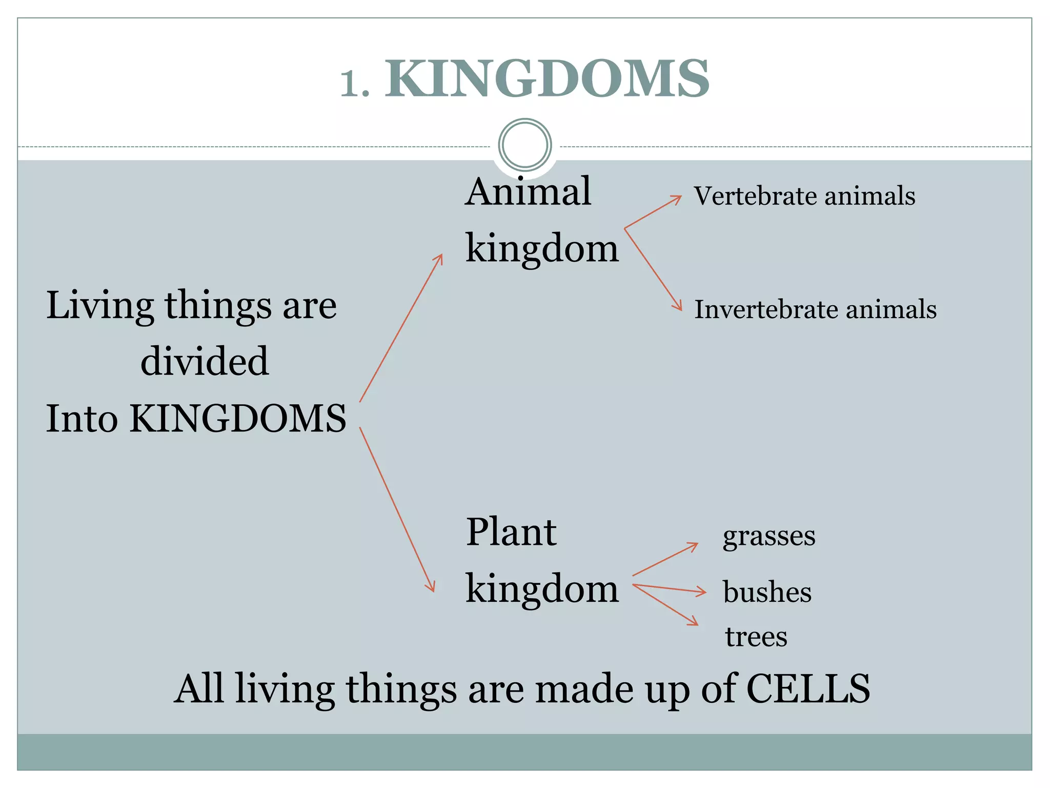 Unit 1. kingdom spptx | PPTX