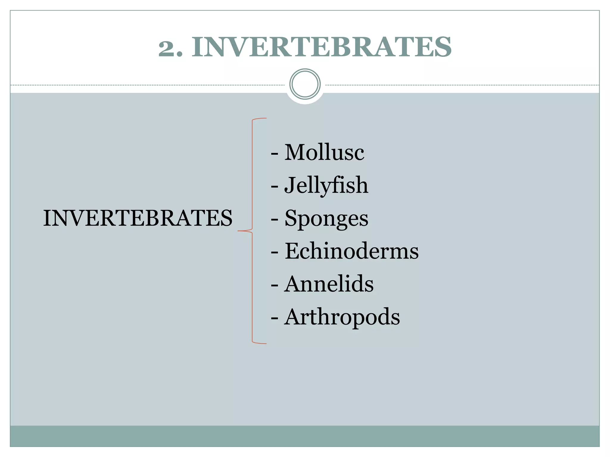 Unit 1. kingdom spptx | PPTX
