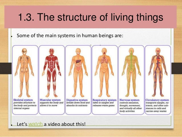 Unit 1. living things.ppt