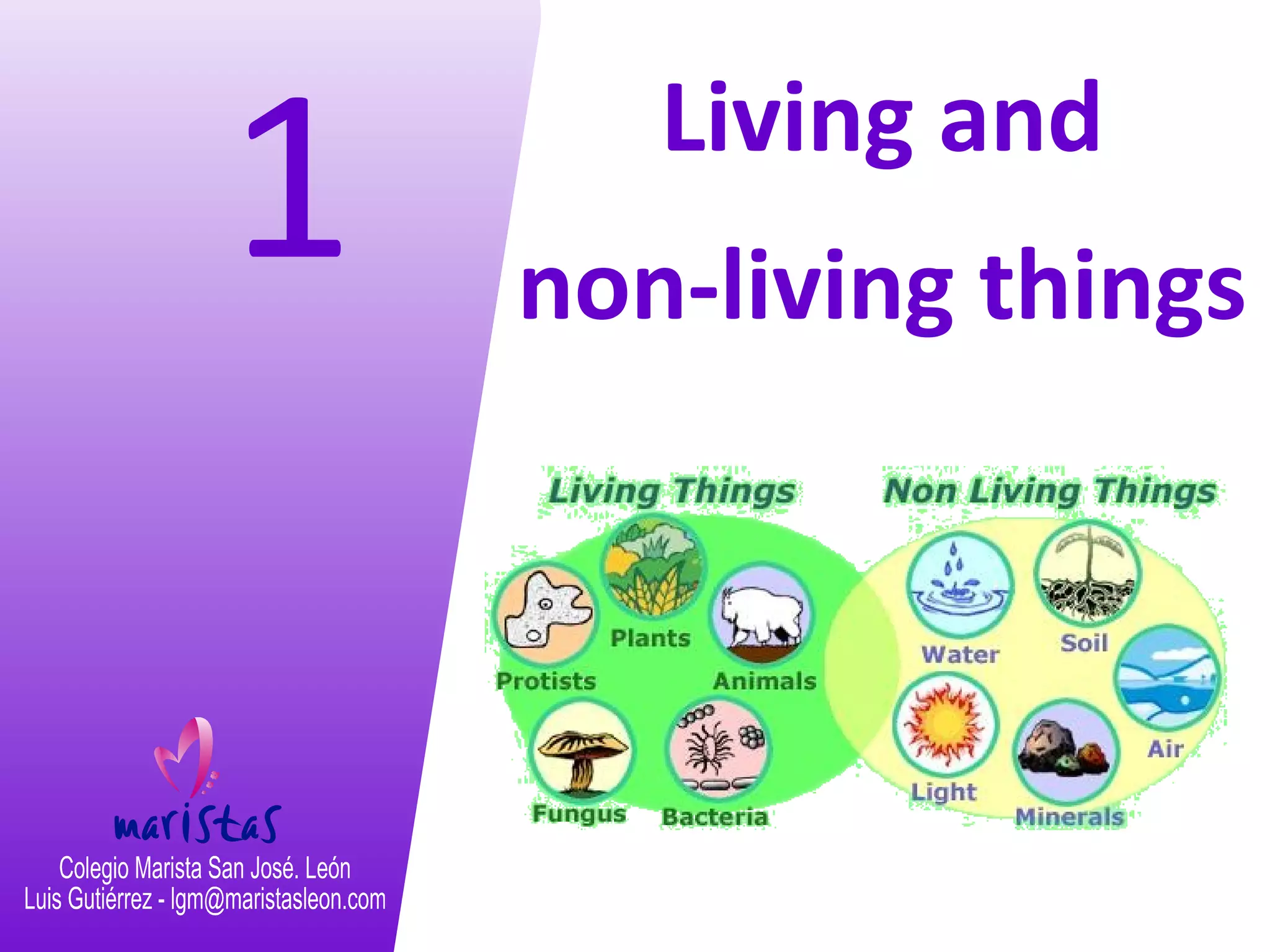 Vocabulary unit 1. Living things | PPT