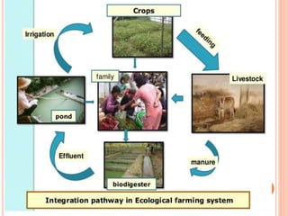 Scope and Limitation of Integrated Farming Systems –Sustainability of ...