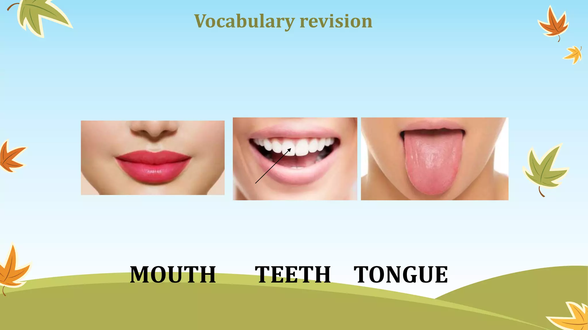 Unit 1.how my body works | PPT