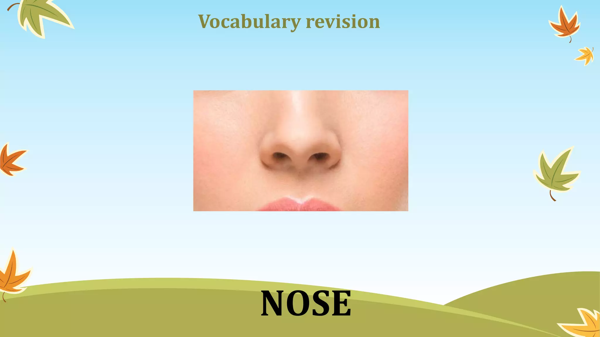 Unit 1.how my body works | PPT