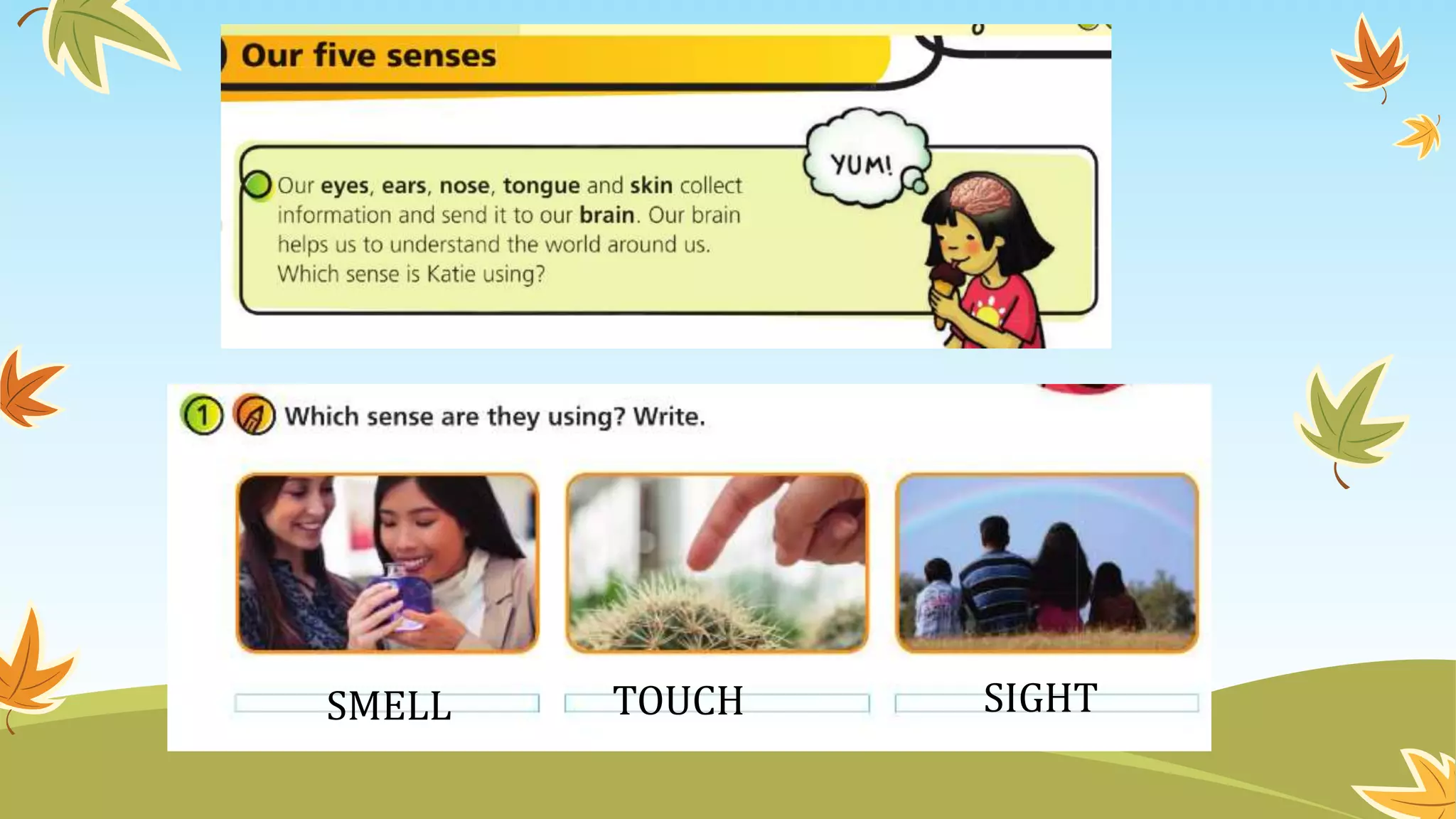 Unit 1.how my body works | PPT