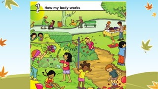 Unit 1.how my body works | PPT