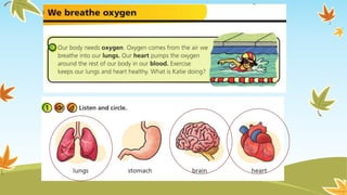 Unit 1.how my body works | PPT