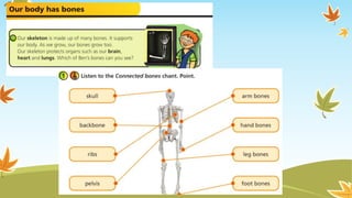 Unit 1.how my body works | PPT