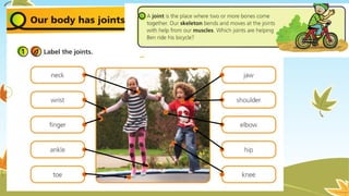 Unit 1.how my body works | PPT